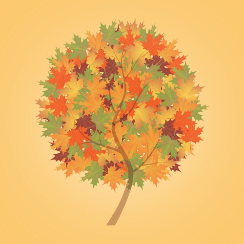 Maple Tree Vector Images (over 46,000)