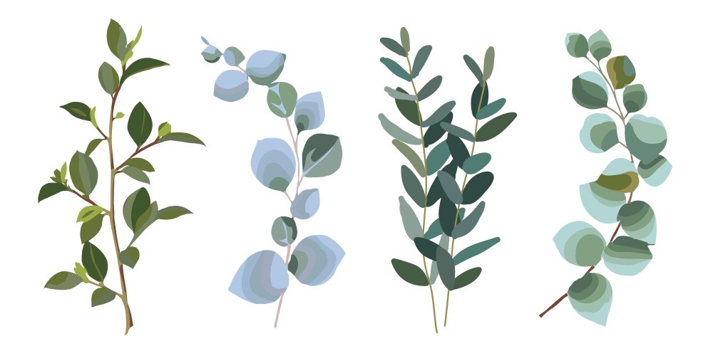Eucalyptus Vector Images (over 18,000)
