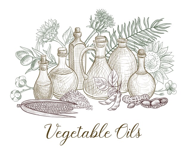 Vegetable Oil Vector Images (over 29,000)