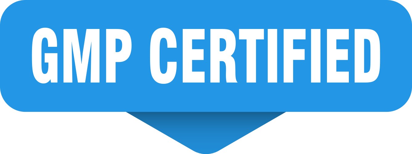 Gmp certified sticker sign Royalty Free Vector Image