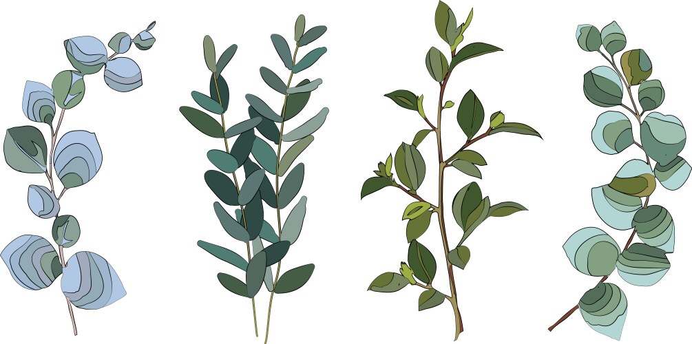 Eucalyptus Vector Images (over 18,000)