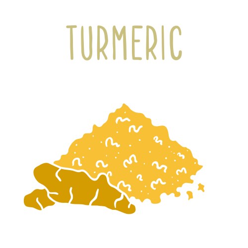 Turmeric Vector Images (over 3,000)
