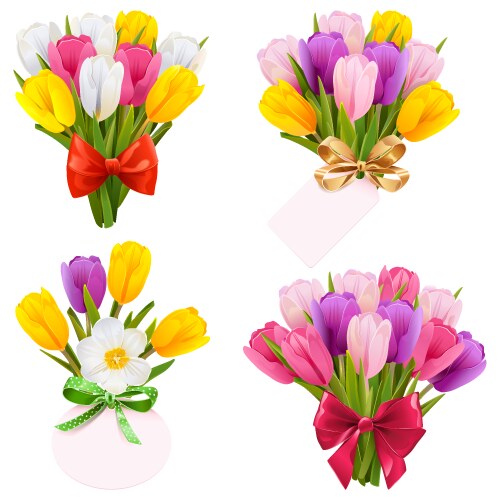 Tulip Vector Images (over 60,000)