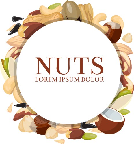Logo for nuts Royalty Free Vector Image - VectorStock