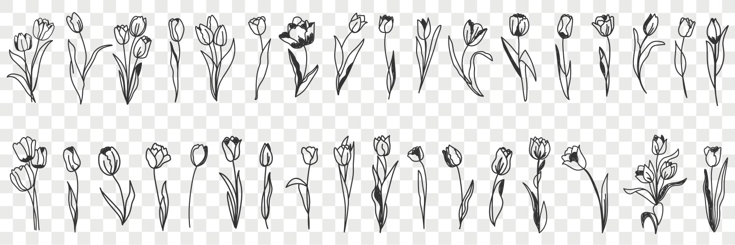 Tulip Doodle Vector Images (over 6,900)