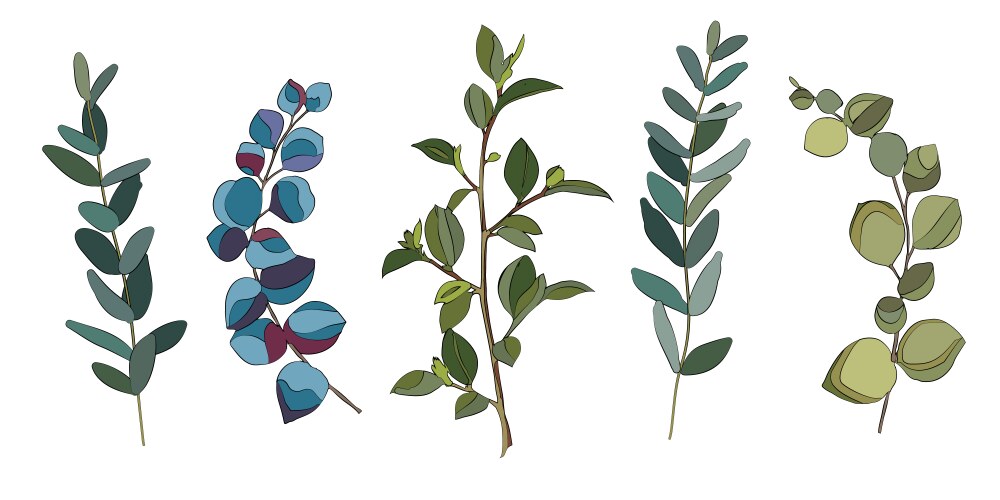 Eucalyptus Vector Images (over 18,000)