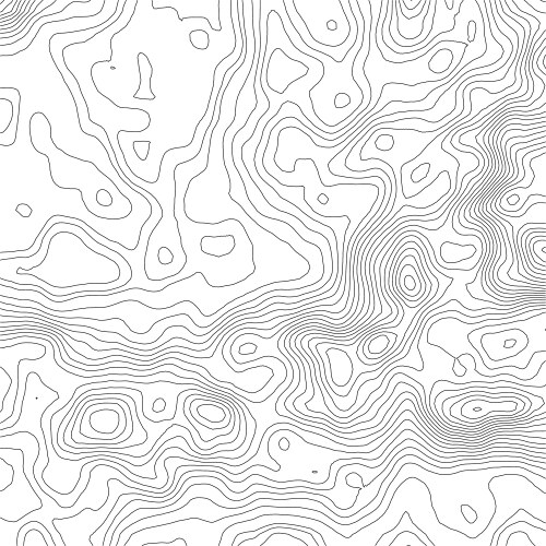 Topographic map background grey abstract contour Vector Image