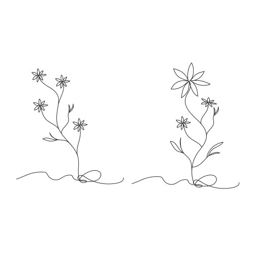 Rose One Line Drawing Vector Images (over 2,200)