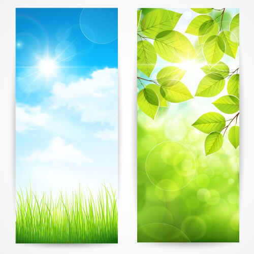 Spring banners Royalty Free Vector Image - VectorStock