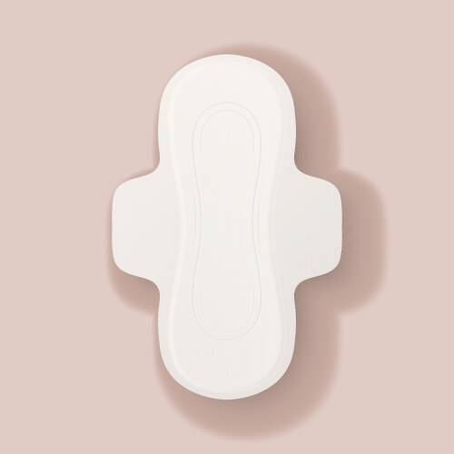 Reusable menstrual period pad womens intimate Vector Image