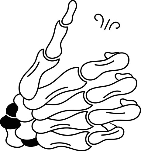 Thumbs Up Bone Vector Images (over 140)