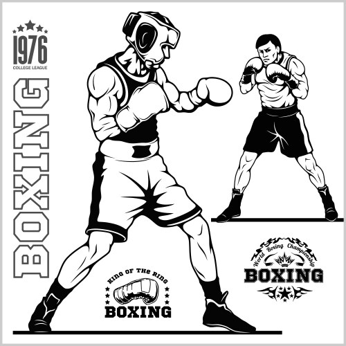 Boxing design Royalty Free Vector Image - VectorStock