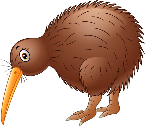 Kiwi Bird Cartoon Vector Images (over 640)
