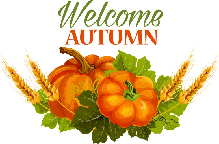 Autumn pumpkin Royalty Free Vector Image - VectorStock