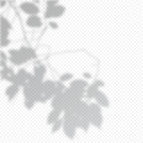 Shine Overlay Effect Vector Images (over 12,000)