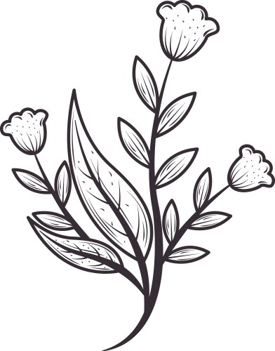 Abstract outline flowers on white Royalty Free Vector Image