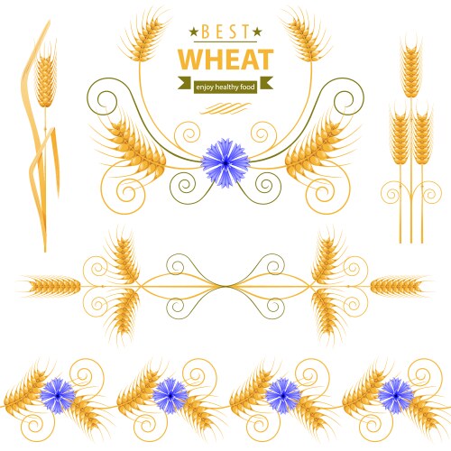 Wheat Vector Images (over 120,000)