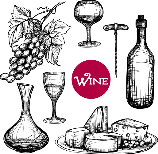 Wine and vineyard Royalty Free Vector Image - VectorStock