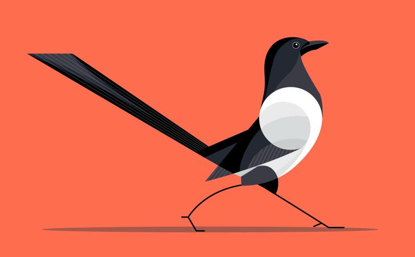 Cartoon Magpie Vector Images (over 730)