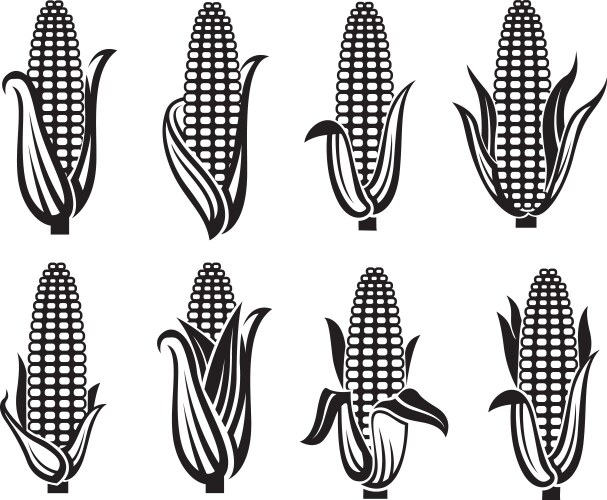 Corn Vector Images (over 100,000)