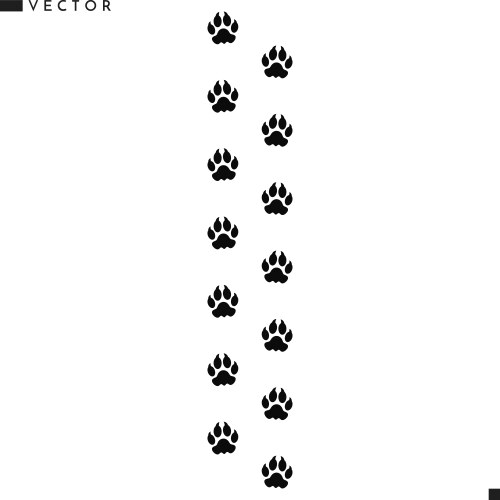 Puma Paw Print Vector Images (83)