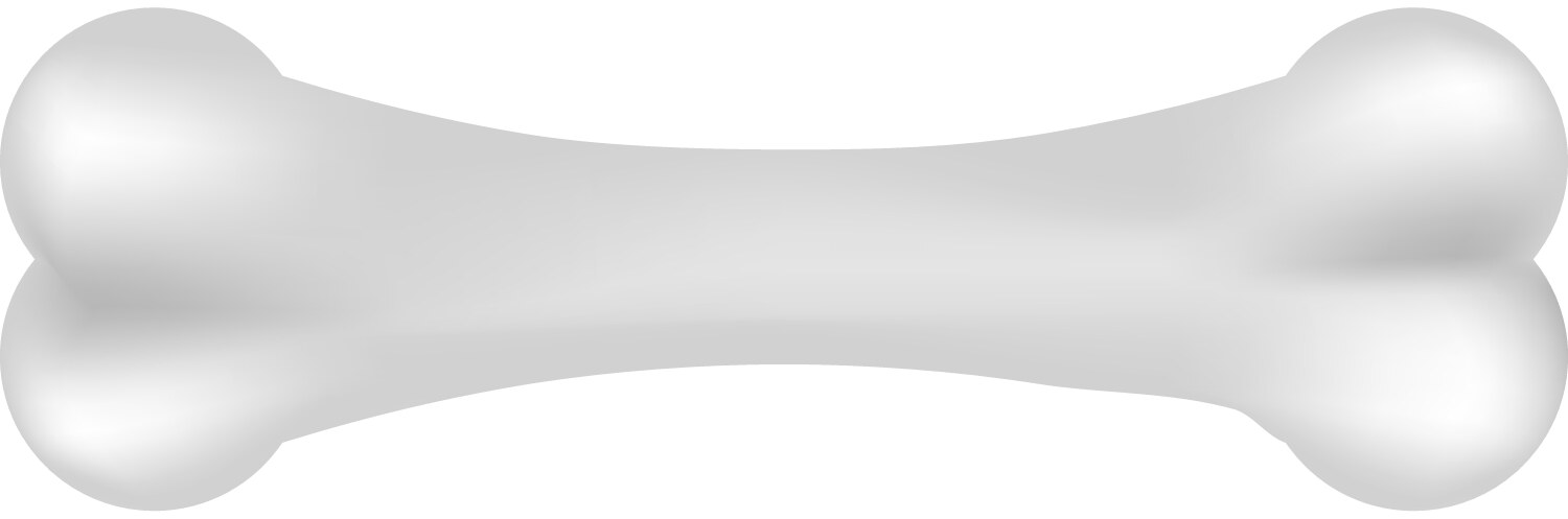 Bone Vector Images (over 220,000)