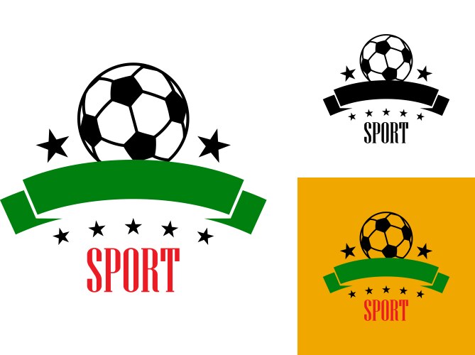 Football or soccer symbol Royalty Free Vector Image