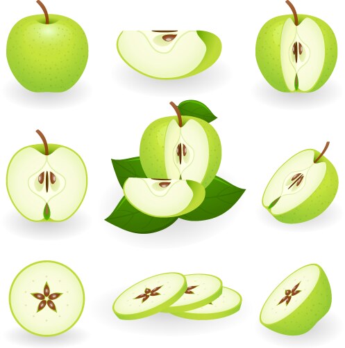 Free Apple Vector Images (over 11,000)