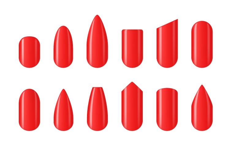 Nail shapes Royalty Free Vector Image - VectorStock
