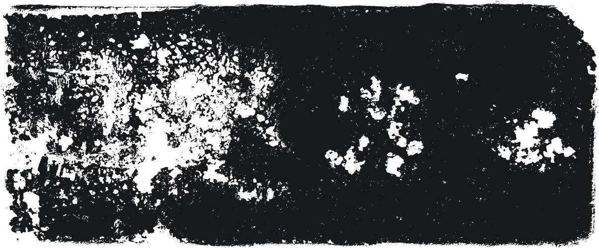 Worn black grunge texture Royalty Free Vector Image