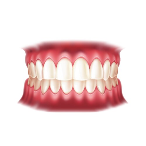Dentures Vector Images (over 8,800)