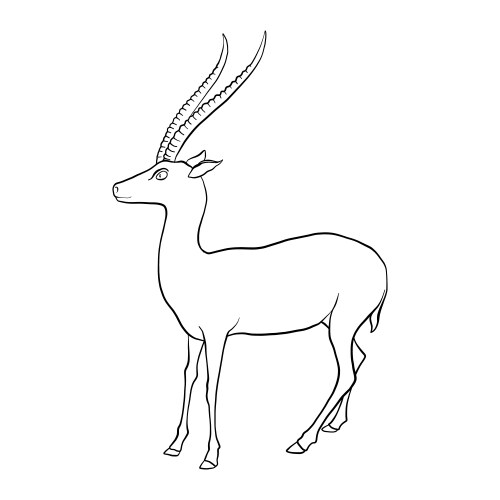 A set of realistic african antelope Royalty Free Vector