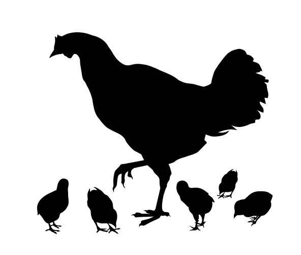 Hen Vector Images (over 45,000)