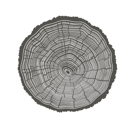 Tree log wood growth rings grunge texture Vector Image