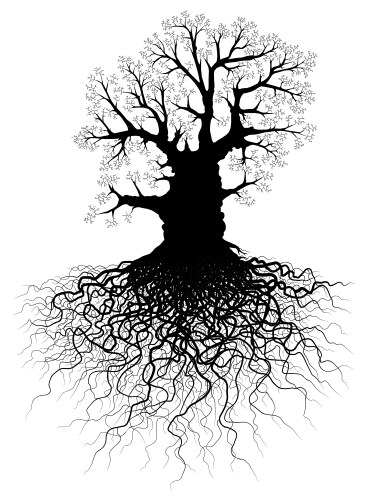 Tree with roots silhouette Royalty Free Vector Image