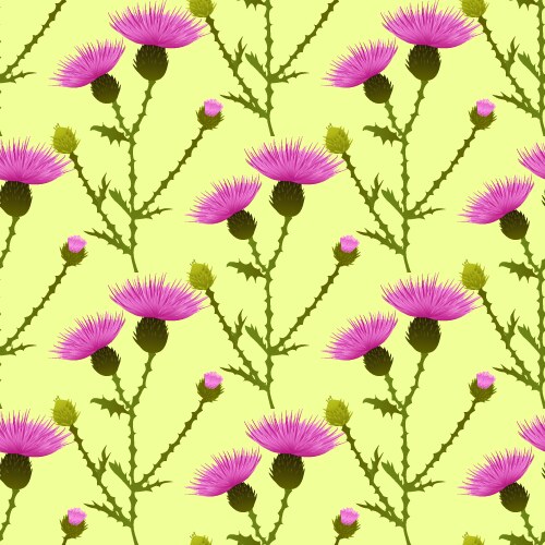 Scottish Thistle Vector Images (over 380)