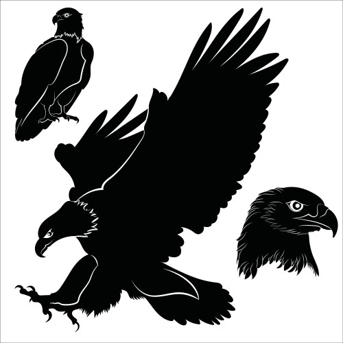 Eagle Vector Images (over 77,000)