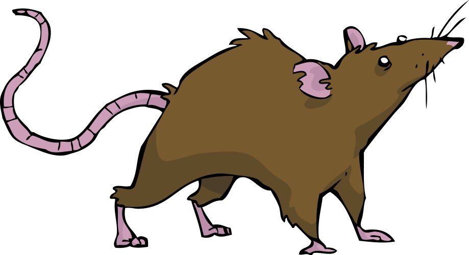 Rat Vector Images (over 32,000)