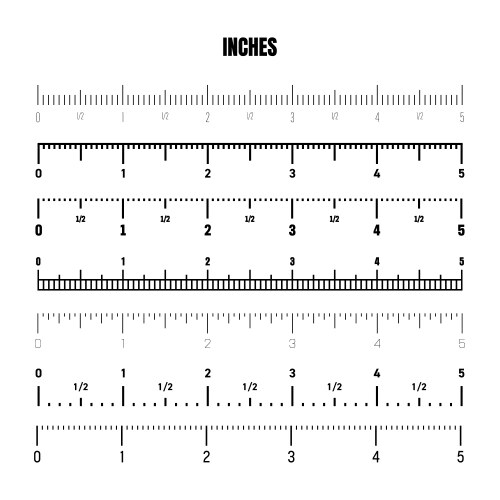 Measuring rulers school ruler metric scale Vector Image