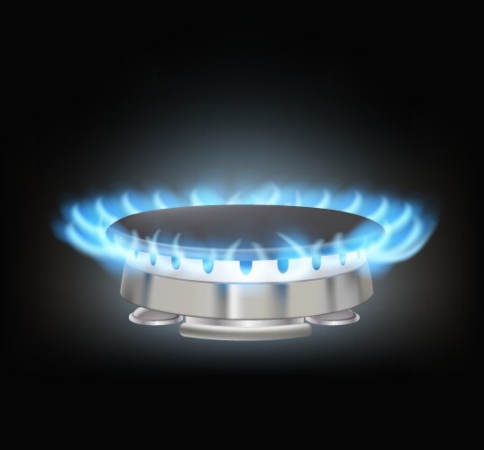 Burning stove gas burner realistic Royalty Free Vector Image