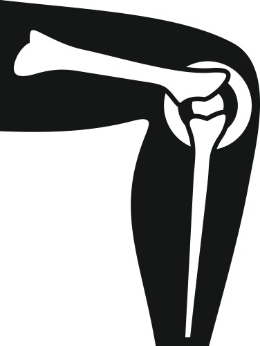 Knee Vector Images (over 27,000)