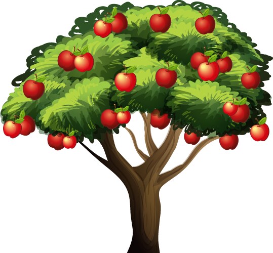 Apple tree on white background Royalty Free Vector Image