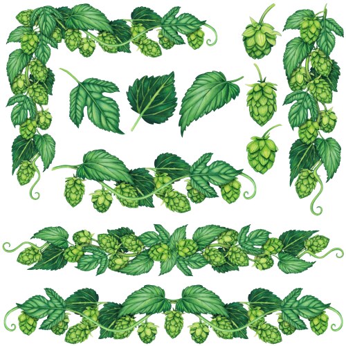 Hops Vector Images (over 51,000)