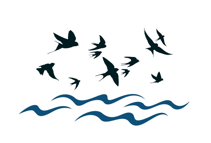 Sea with seagulls Royalty Free Vector Image - VectorStock
