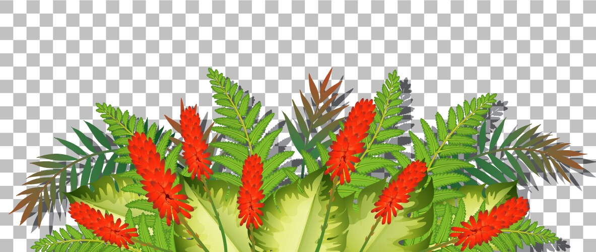 An isolated flower bush Royalty Free Vector Image