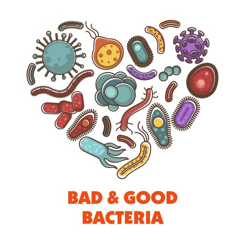 Good and bad habits poster set Royalty Free Vector Image