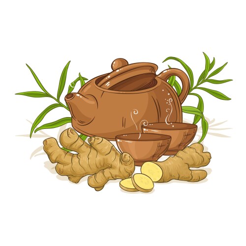 Turmeric tea Royalty Free Vector Image - VectorStock