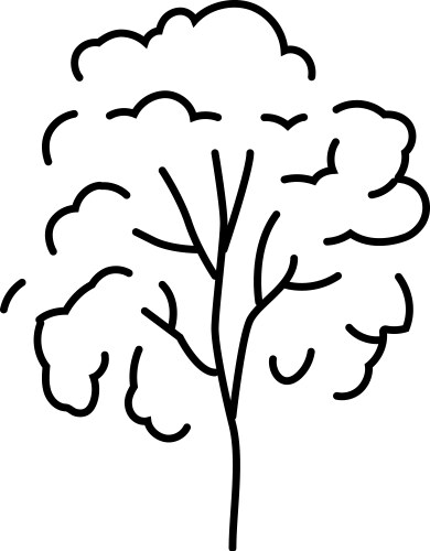 Padauk Vector Images (23)