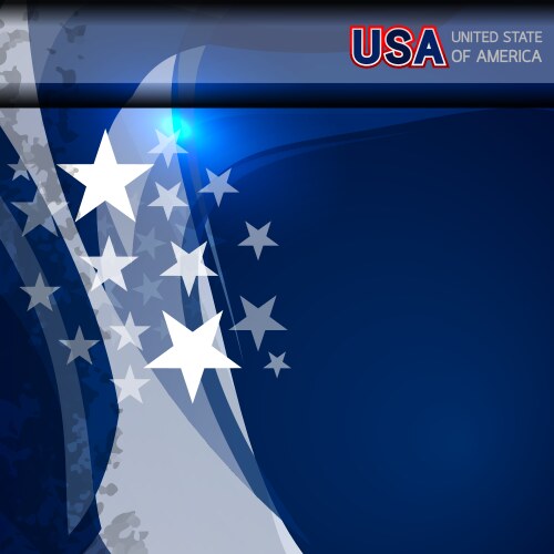 Usa color flag texture Royalty Free Vector Image