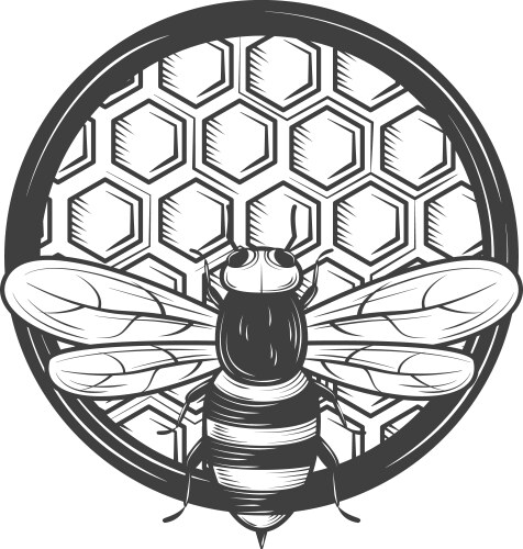 Honey Bee Hive Vector Images (over 29,000)